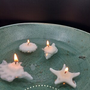 Seashell Tealight Candles: Realistic Floating Sea Shells, Ocean Home ...