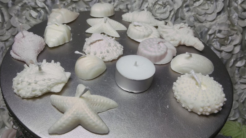 Seashell Tealight Candles: Realistic Floating Sea Shells, Ocean Home ...