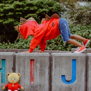 Daniel Tiger Hoodie - Daniel Shirt - Tiger Neighborhood - Kids Tiger ...