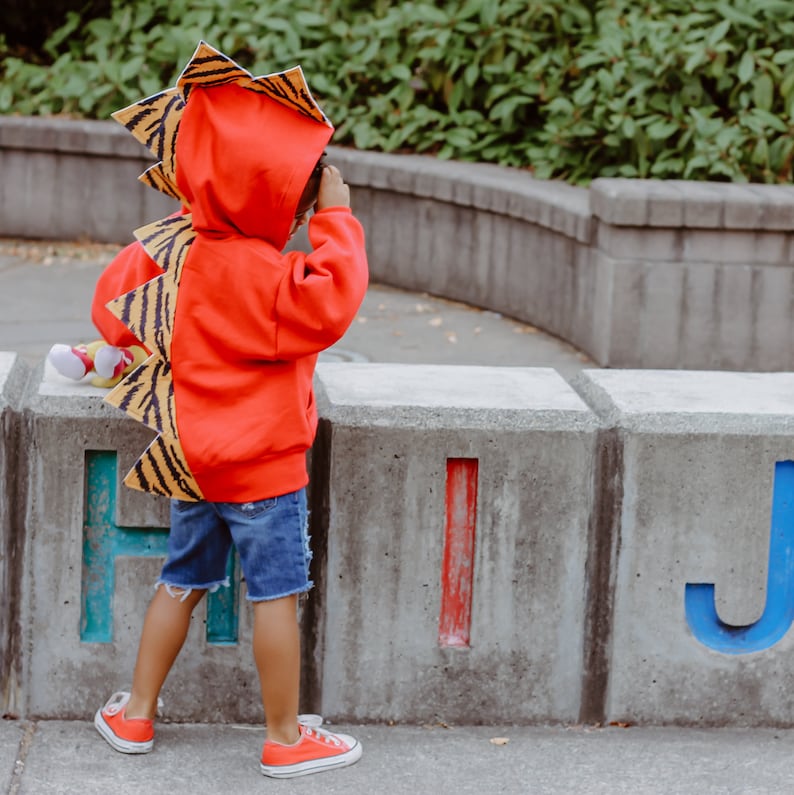 Daniel Tiger Hoodie - Daniel Shirt - Tiger Neighborhood - Kids Tiger ...