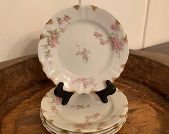 Dining & Serving Plates Kitchen & Dining made in 1897 Syracuse China ...