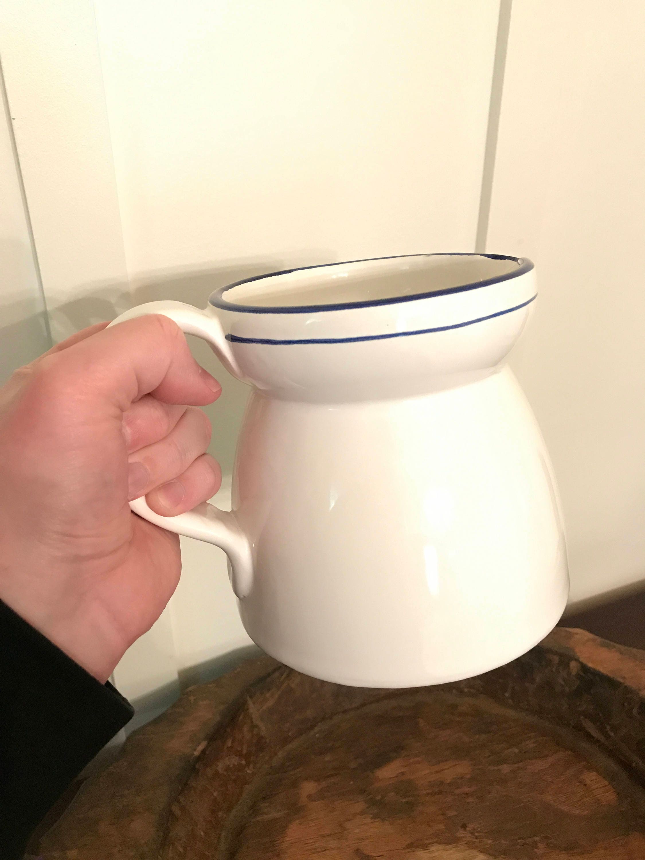 Vintage Rosenthal Netter Geese Patterned Pitcher or Jug Made | Etsy