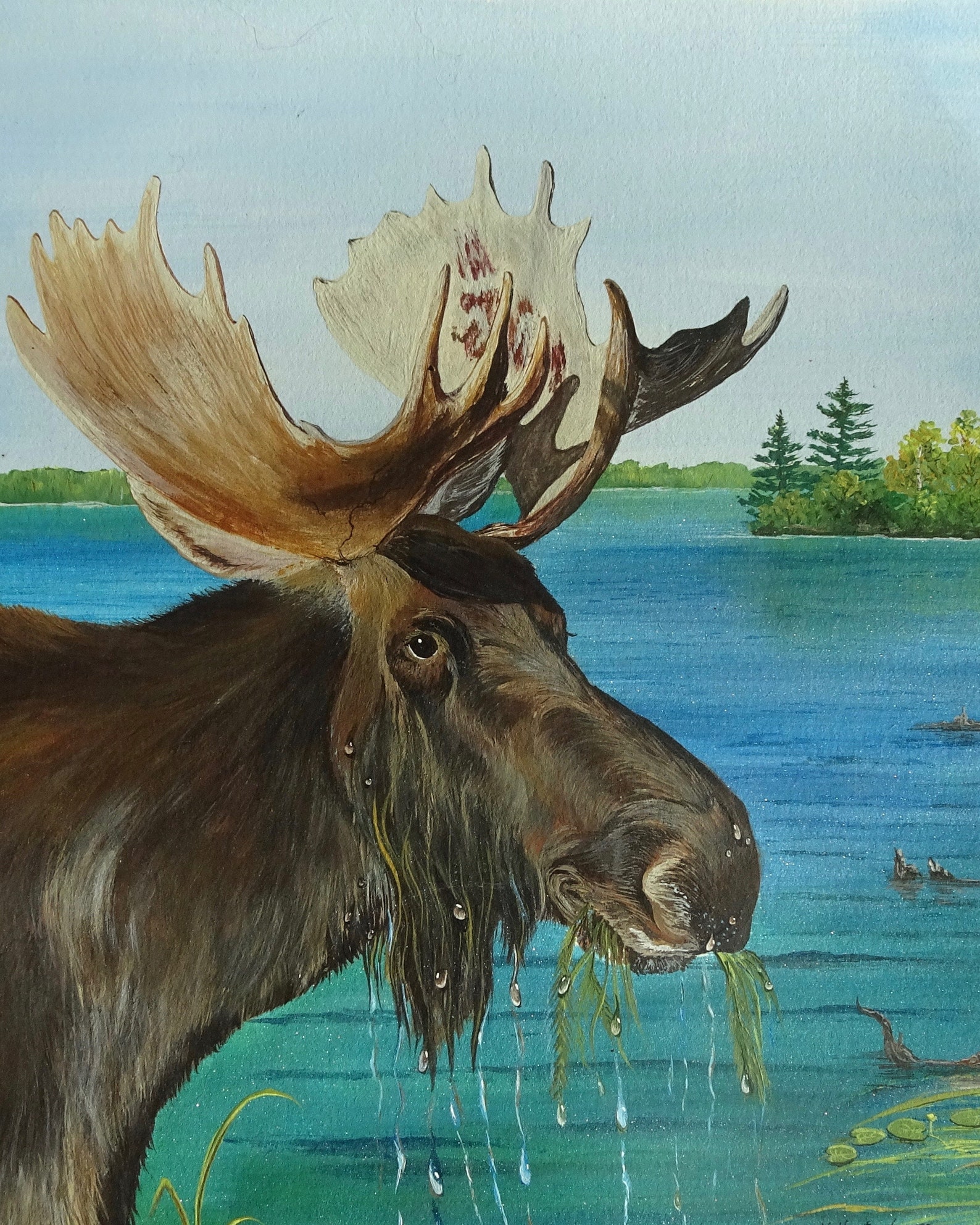 Moose Art Print - Etsy