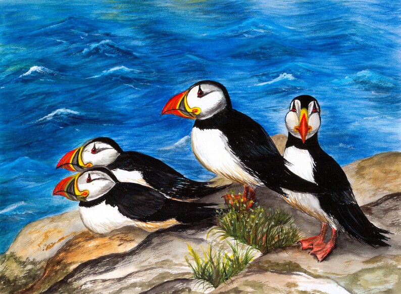 Puffin and Blue Ocean Print, Puffin Art, Maine Puffin, Puffin, Atlantic ...
