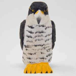 Falcon Hawk Love Bird Cake Topper Bride & Groom Wedding Engagement ...