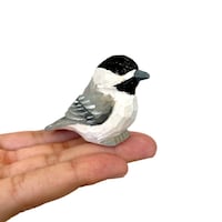 Chickadeez Nuts Sticker - Etsy