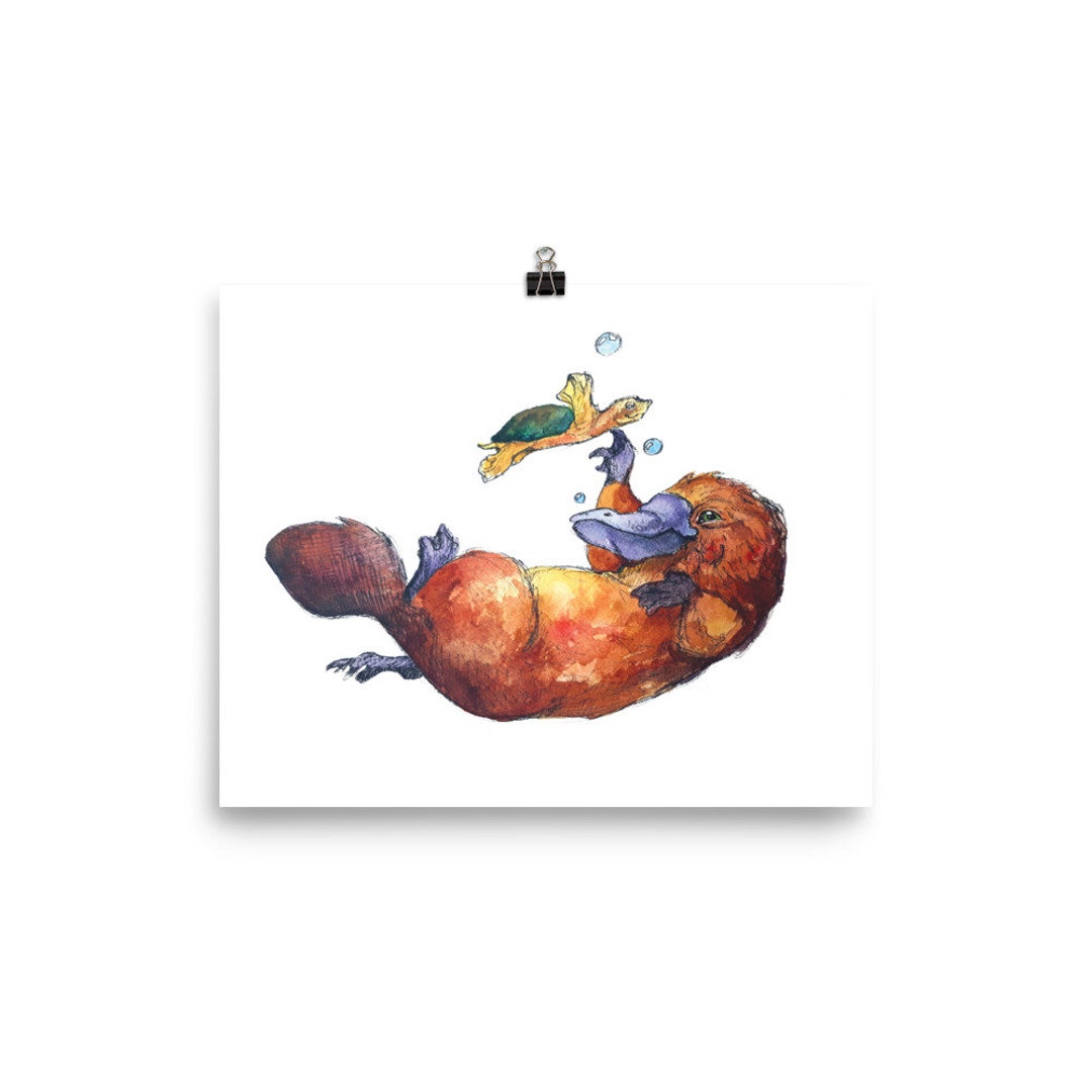 Platypus Whimsical Watercolor Art Print - Etsy