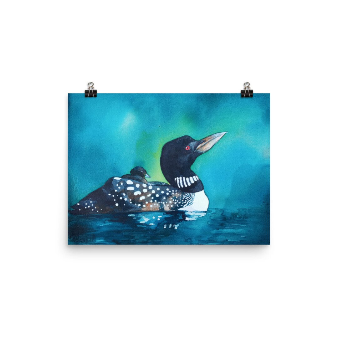 Loon Watercolor Print Poster - Etsy