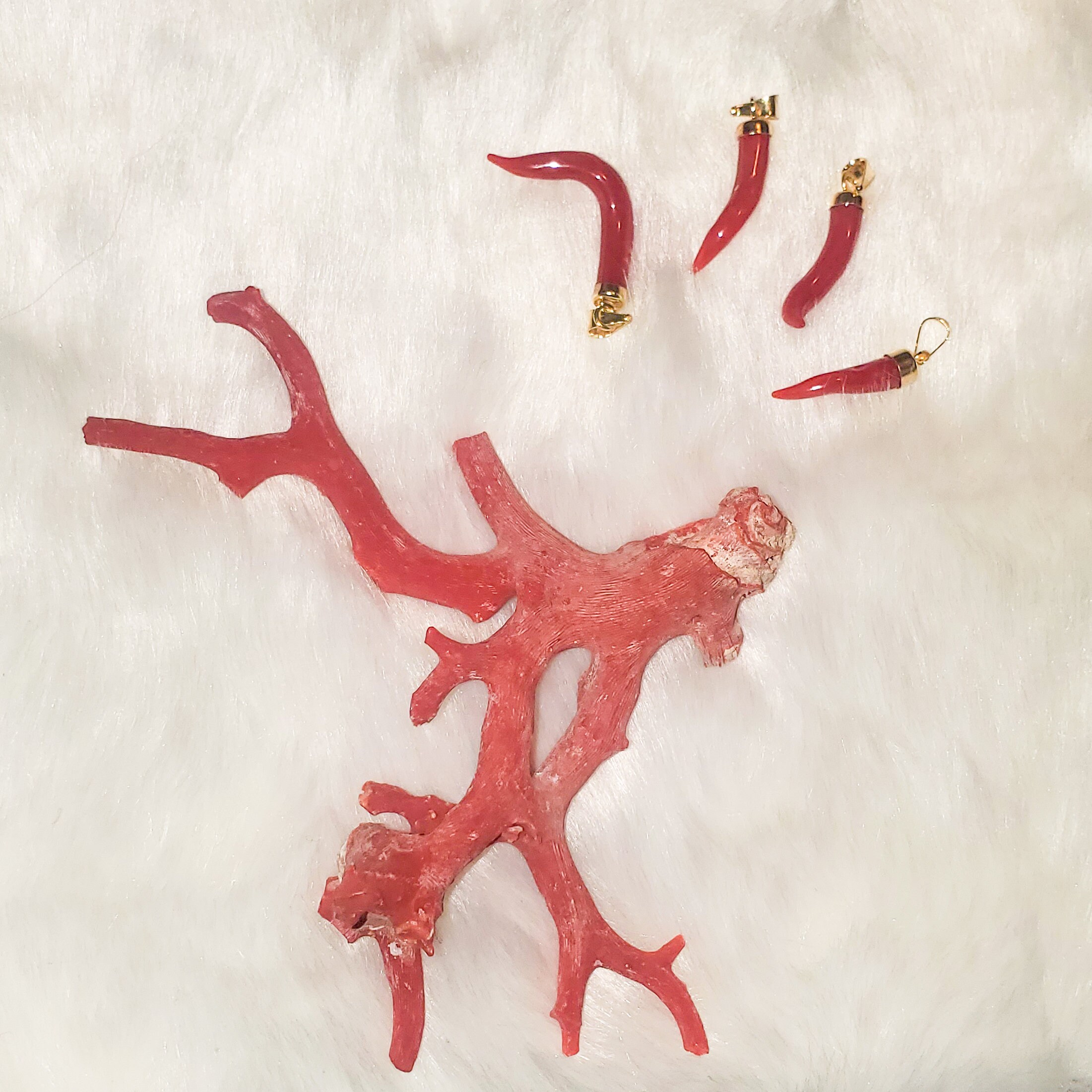 Unique Shape Good Luck Red Coral Charms 1.45inches Coral Horn cornetto ...