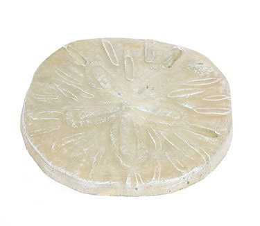 Solid Rock Stoneworks Sand Dollar Stepping Stone Desert Sand | Etsy