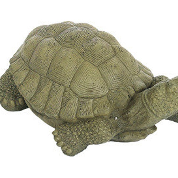 Snapping Turtle - Etsy