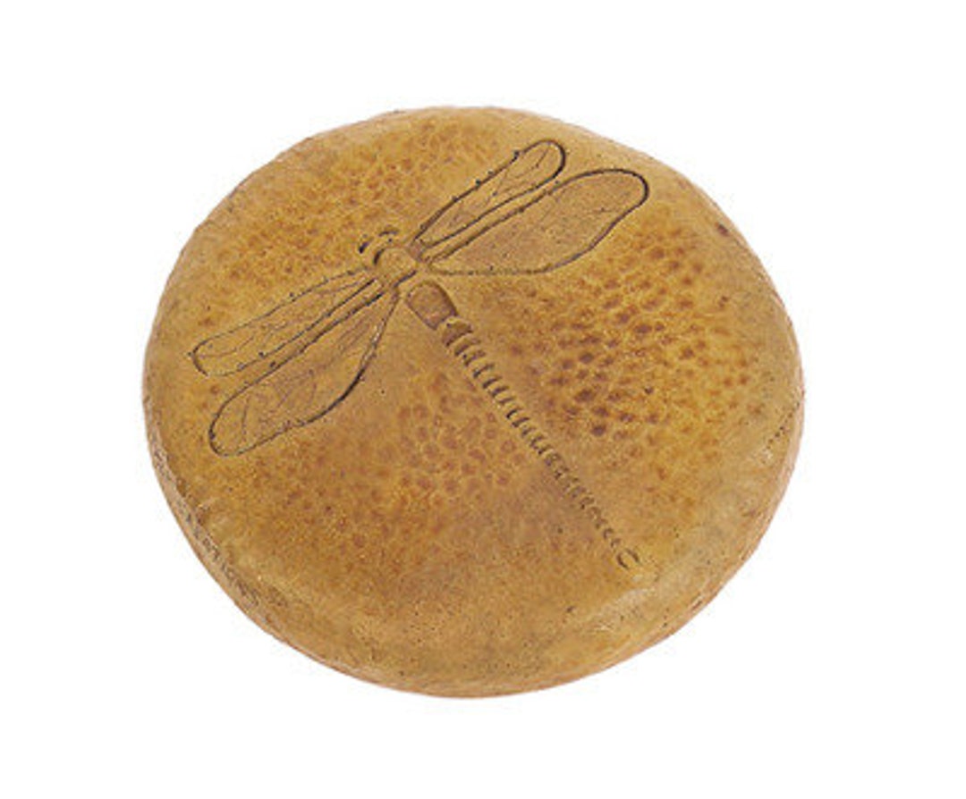 Solid Rock Stoneworks Round Dragonfly Stepping Stone - Etsy