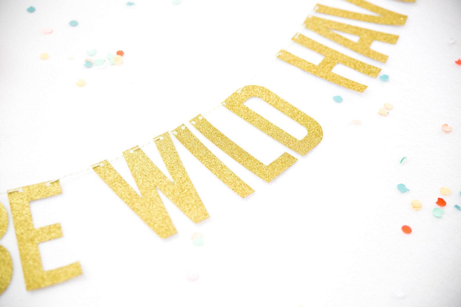 Glitter Banner . Be Wild Have Fun Banner . Party Letter - Etsy