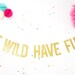 Glitter Banner . Be Wild Have Fun Banner . Party Letter Garland . - Etsy