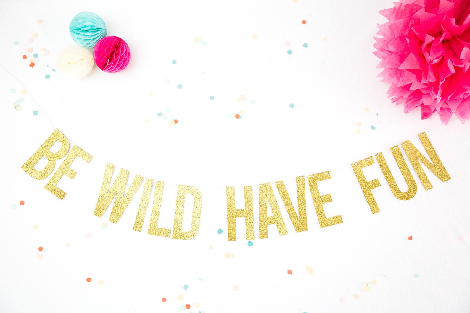 Glitter Banner . Be Wild Have Fun Banner . Party Letter - Etsy