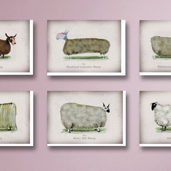 Sheep Cards - Etsy