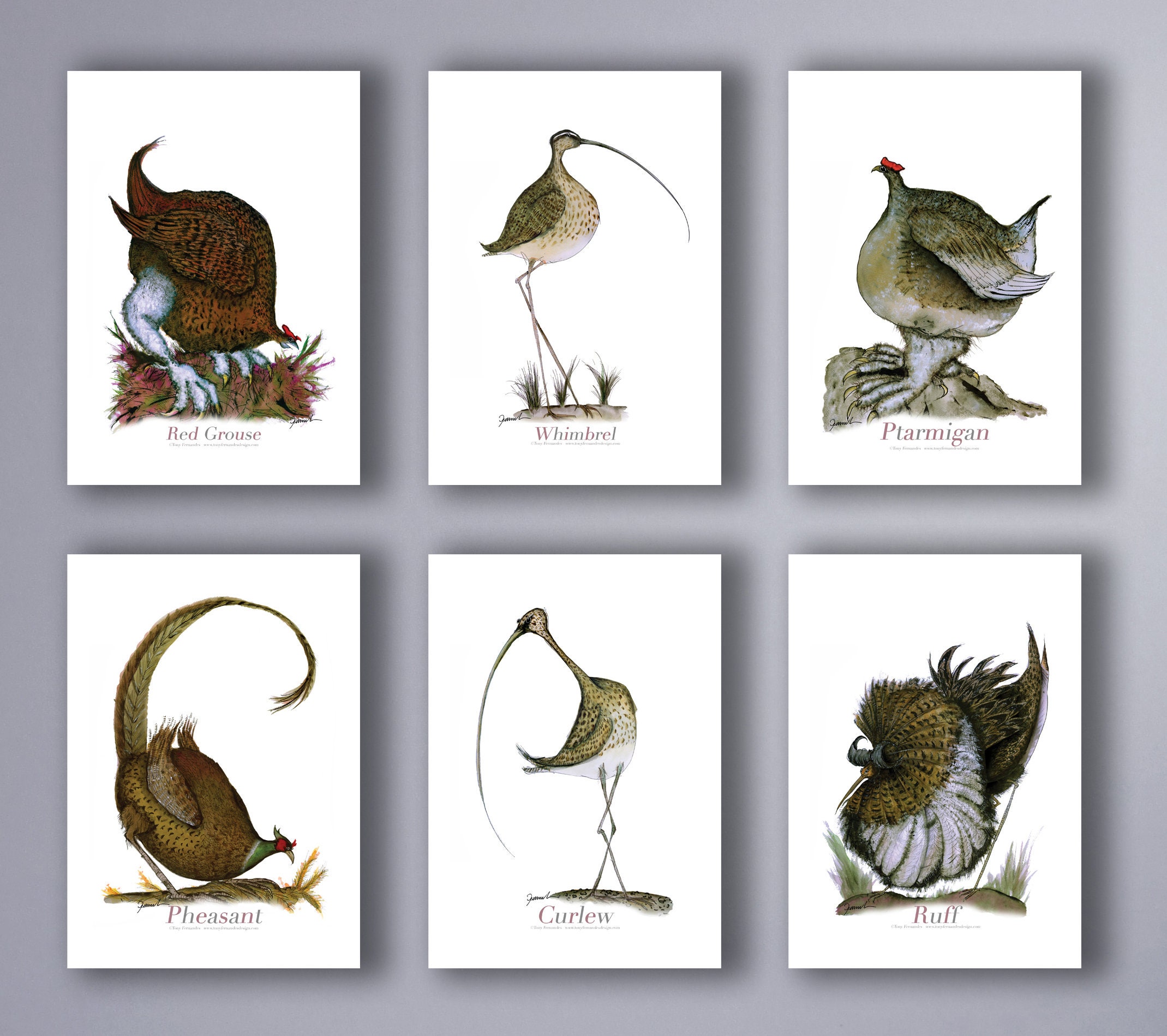 Fun Moorland Bird Prints Set of 6 A4 Prints - Etsy