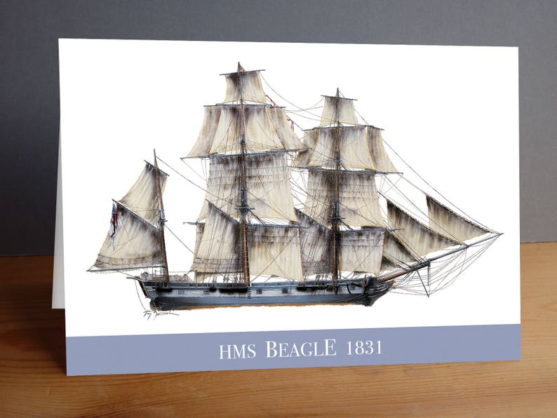 HMS Beagle 1831 Greeting Card - Etsy