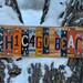 CHICAGO BEARS License Plate Sign, Fast, FREE Shipping - Etsy