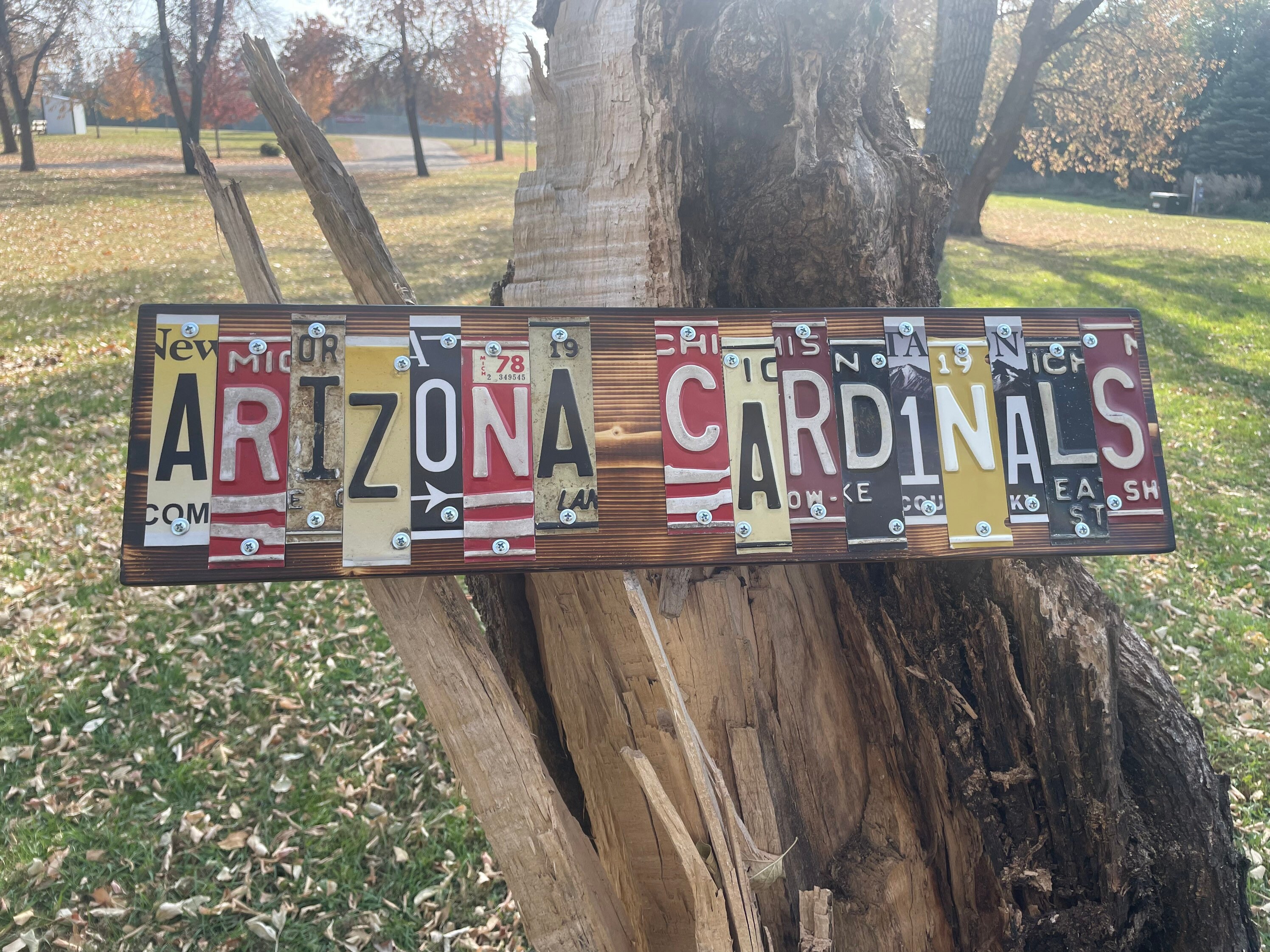 Arizona Cardinals License Plate Sign: Recycled Metal Art - Etsy