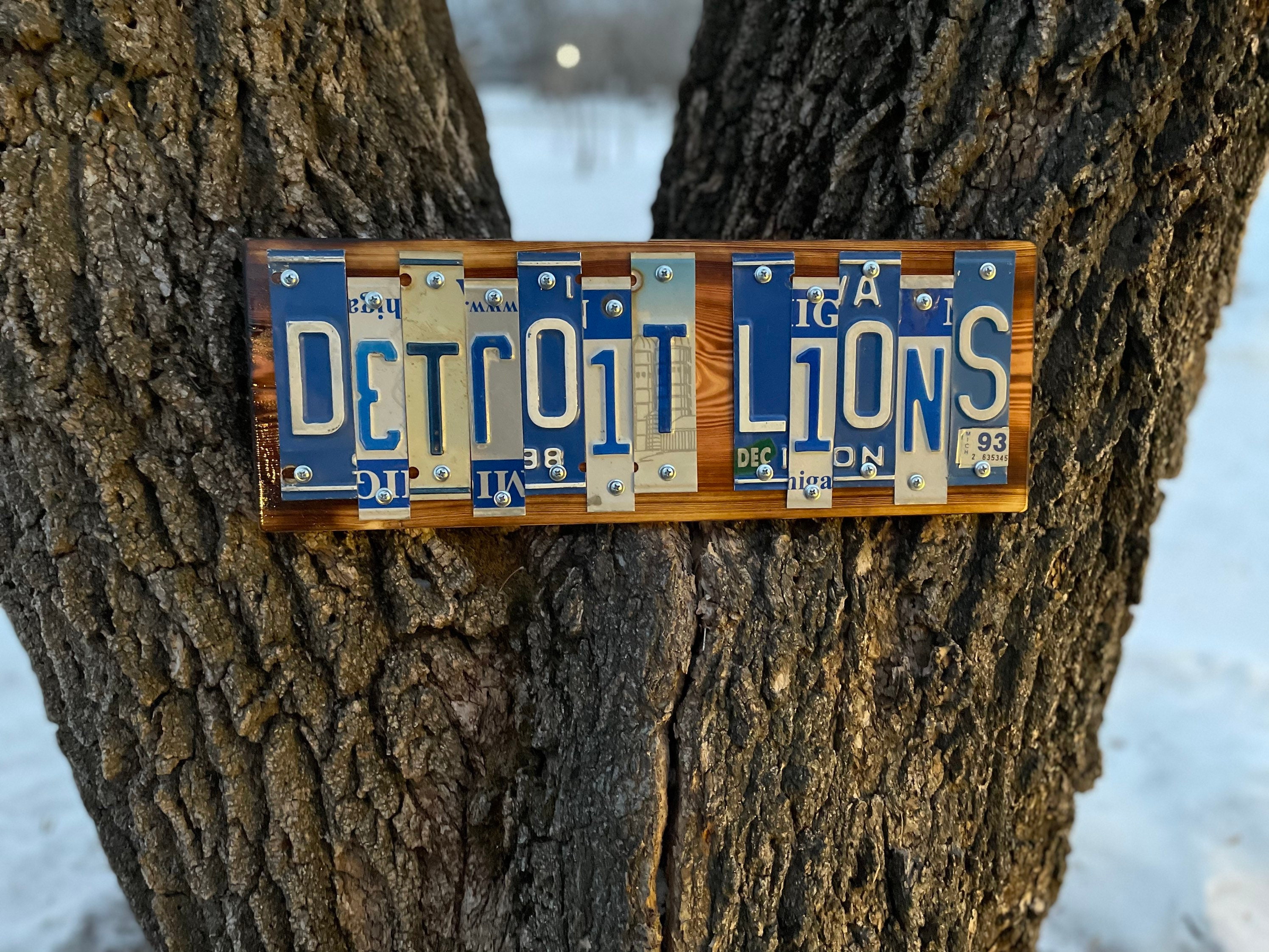 DETROIT LIONS License Plate Sign Fast FREE Shipping - Etsy