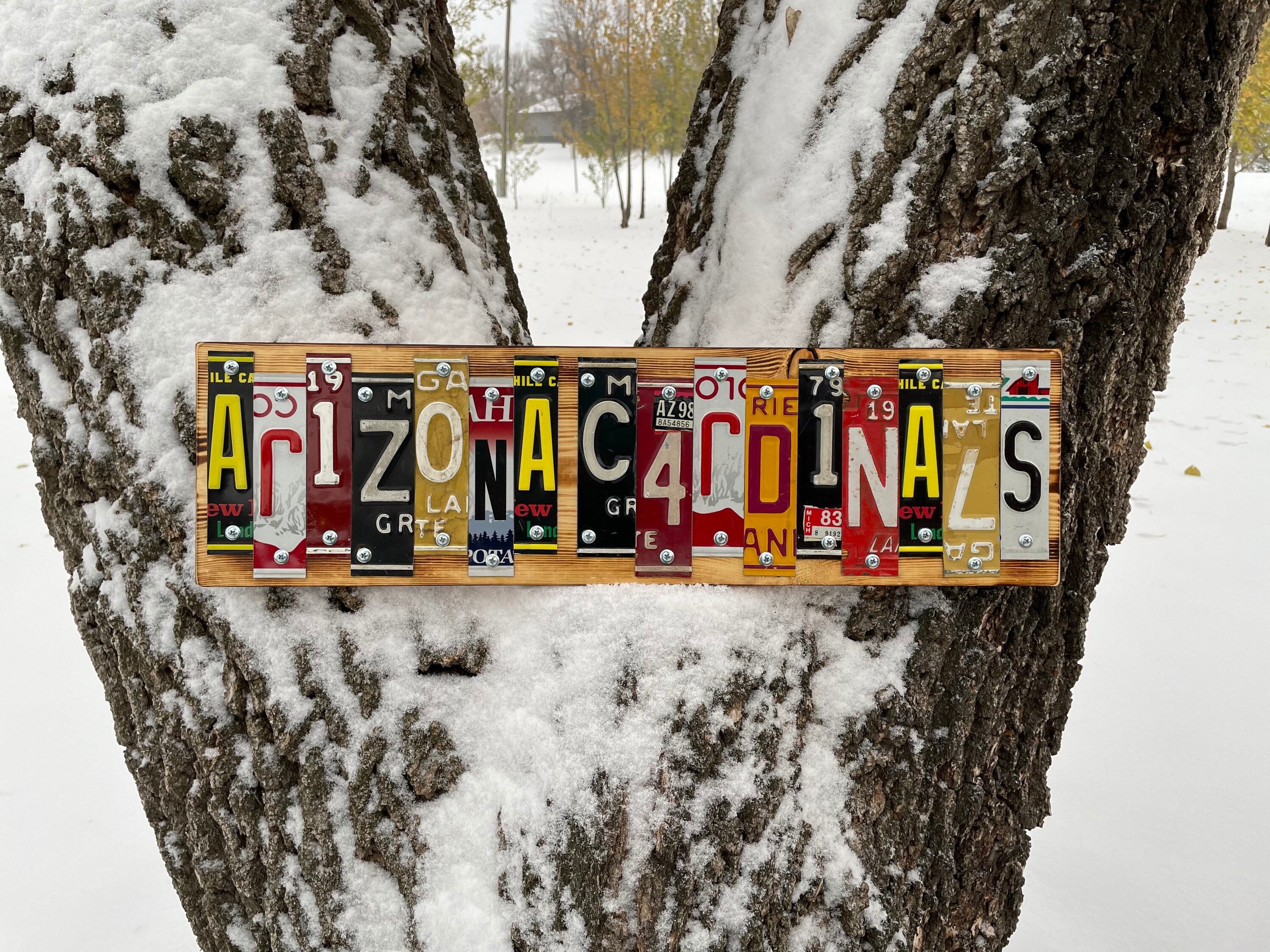Arizona Cardinals License Plate Sign: Recycled Metal Art - Etsy