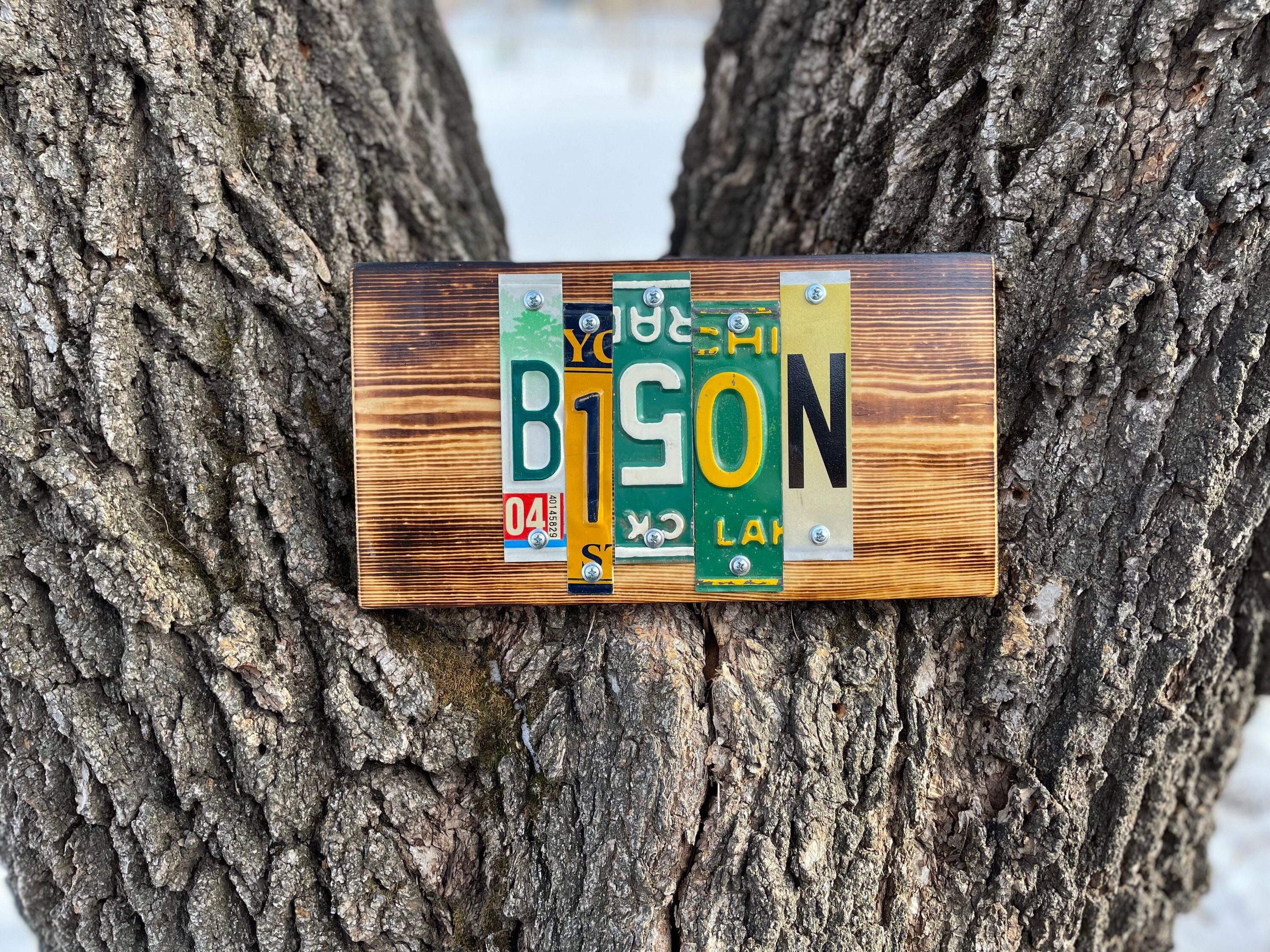 BISON License Plate Art Mancave North Dakota Fargo - Etsy