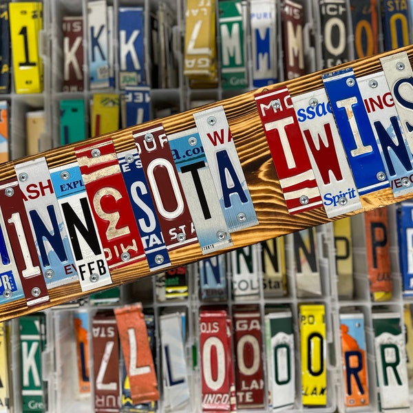 Twins License Plate - Etsy