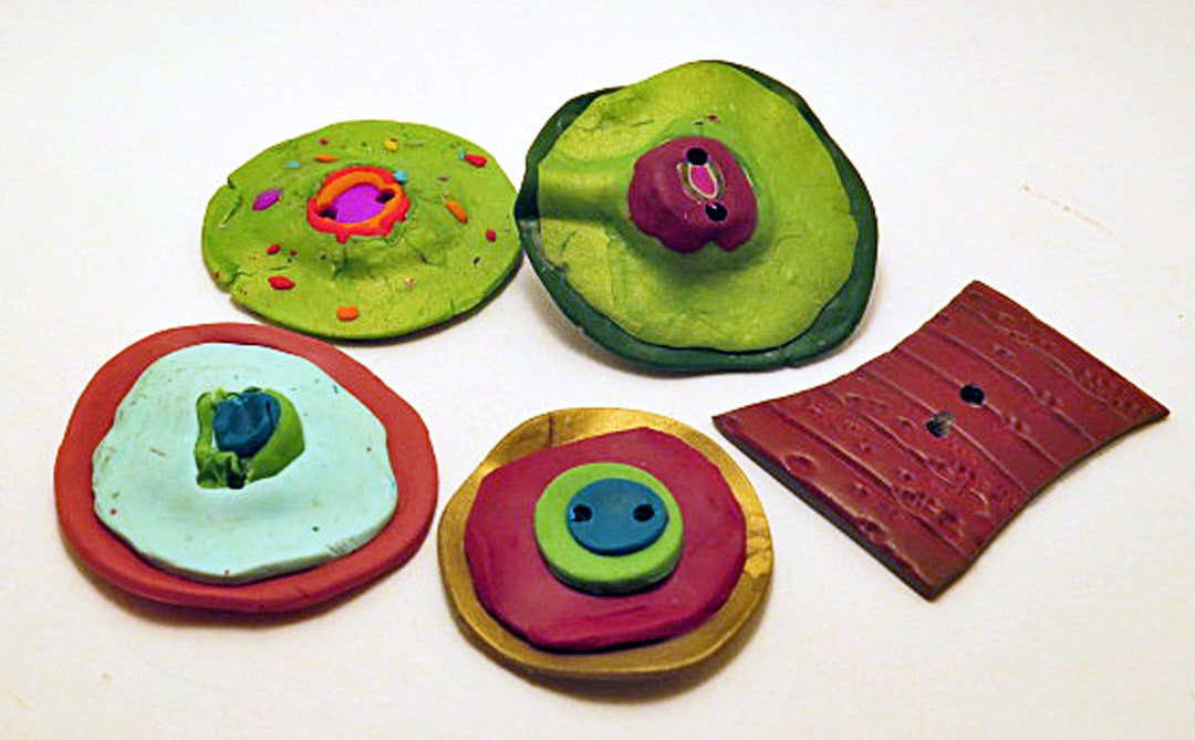 Buttons. Large Round Buttons. Unique Hand Made Decorative Buttons for ...