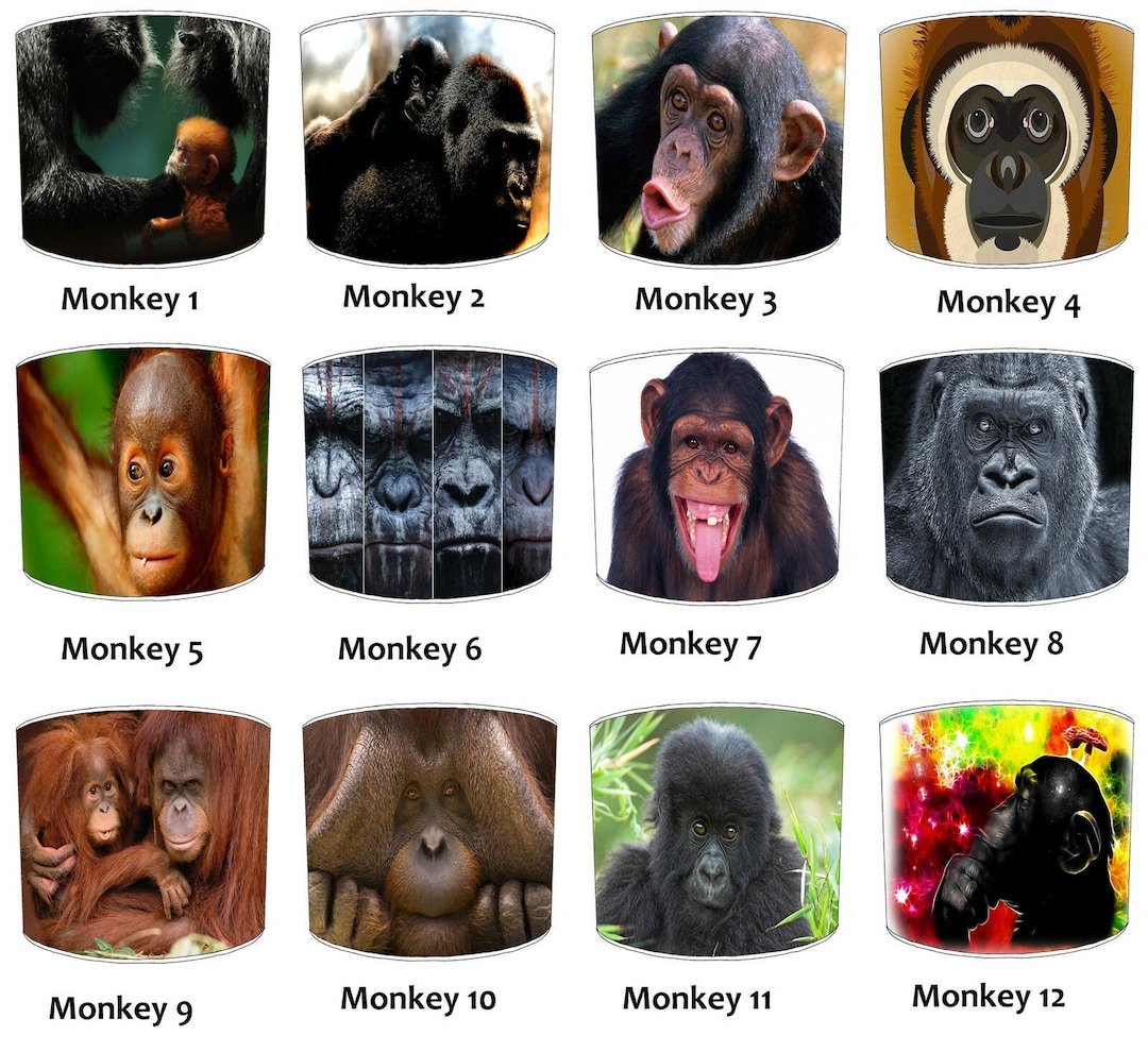 Monkeys Apes Gorillas Orangutan Wall Art Lampshades Monkey Duvet Covers Monkey Toys & Games ...