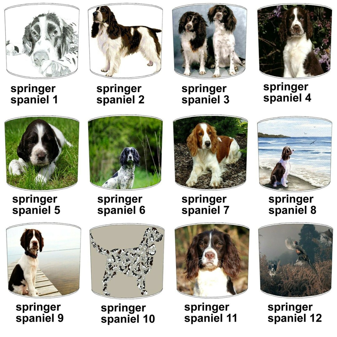 Springer Spaniel Dogs Lampshade for Bedside Table Lamps Ceiling ...