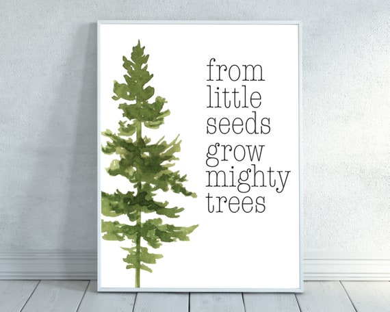 Small Trees With Seeds