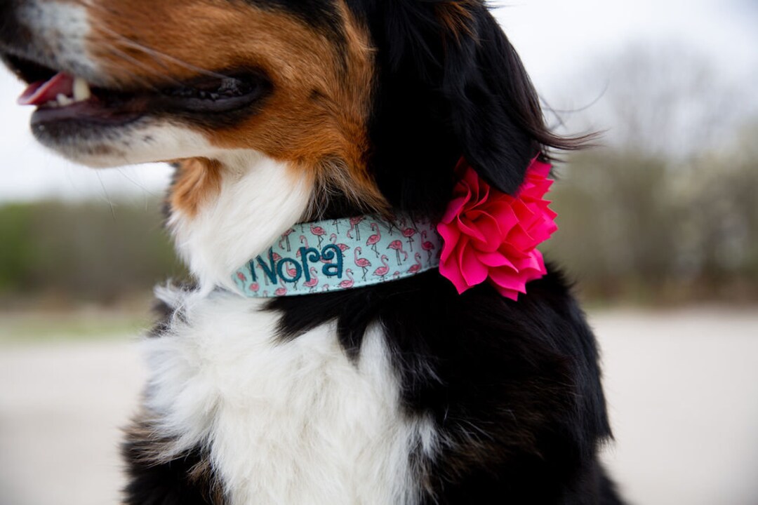 Flamingo Dog Collar, Embroidered Dog Collar, Personalized Dog Collar ...