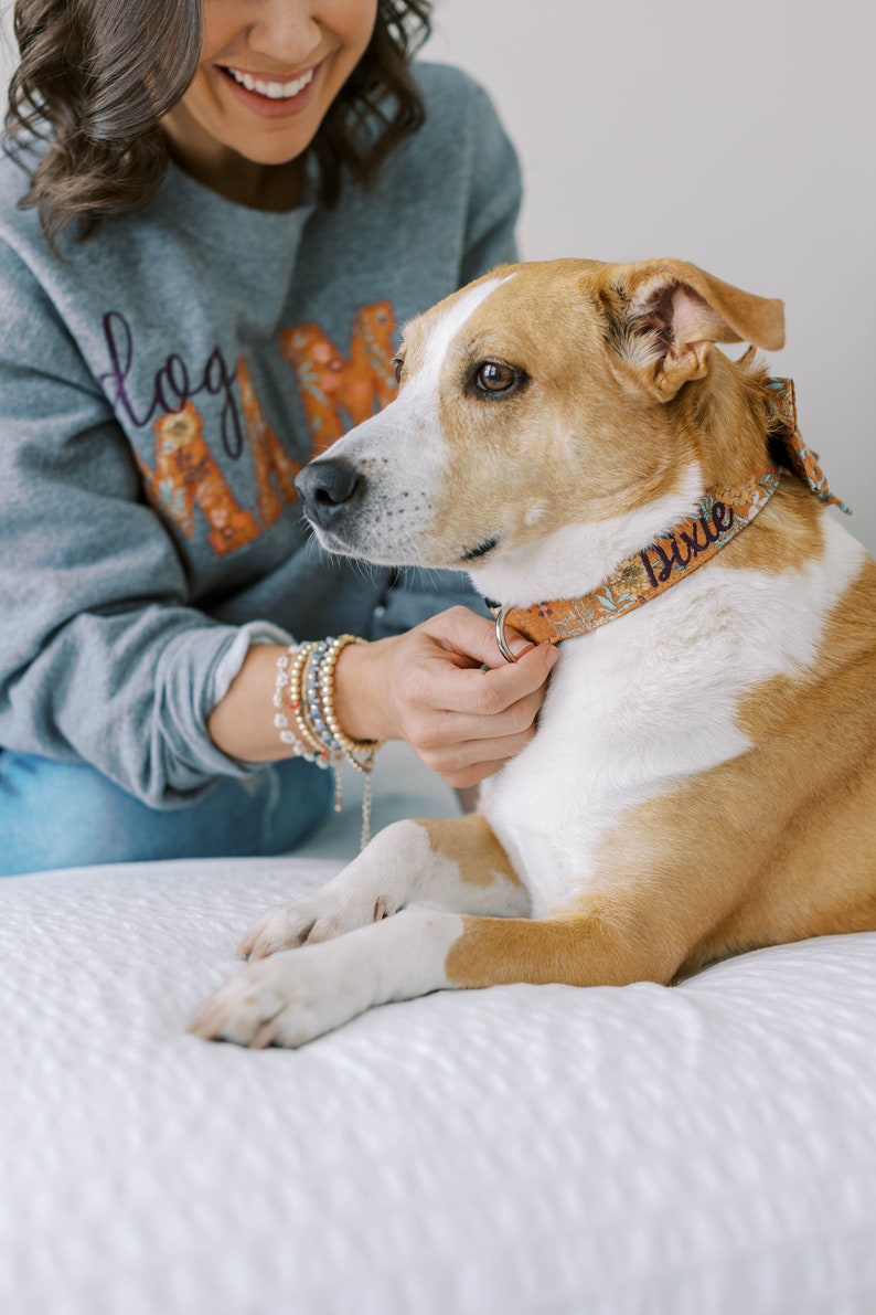 Fall Collar Embroidered Dog Collar Personalized Dog Collar - Etsy