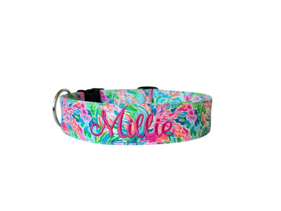 Personalized Embroidered Dog Collar by Duke & Fox, Beach Dog Collar ...