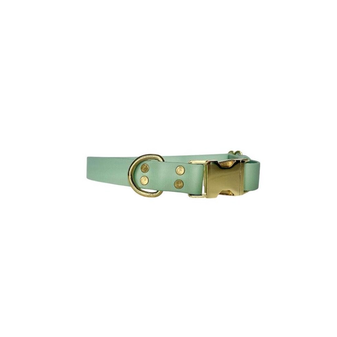 Ready to Ship Sage Green Biothane Dog Collar With Gold Buckle - Etsy