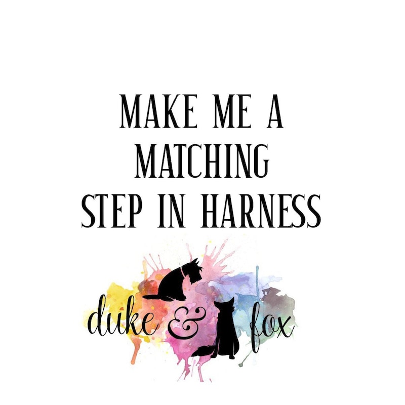 Step in Dog Harness Xs - Etsy