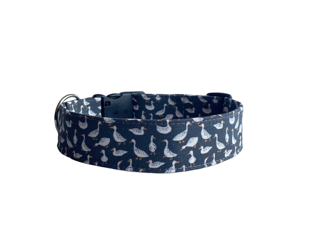 Silly Gray Goose Dog Collar, Embroidered Dog Collar, Personalized Dog ...