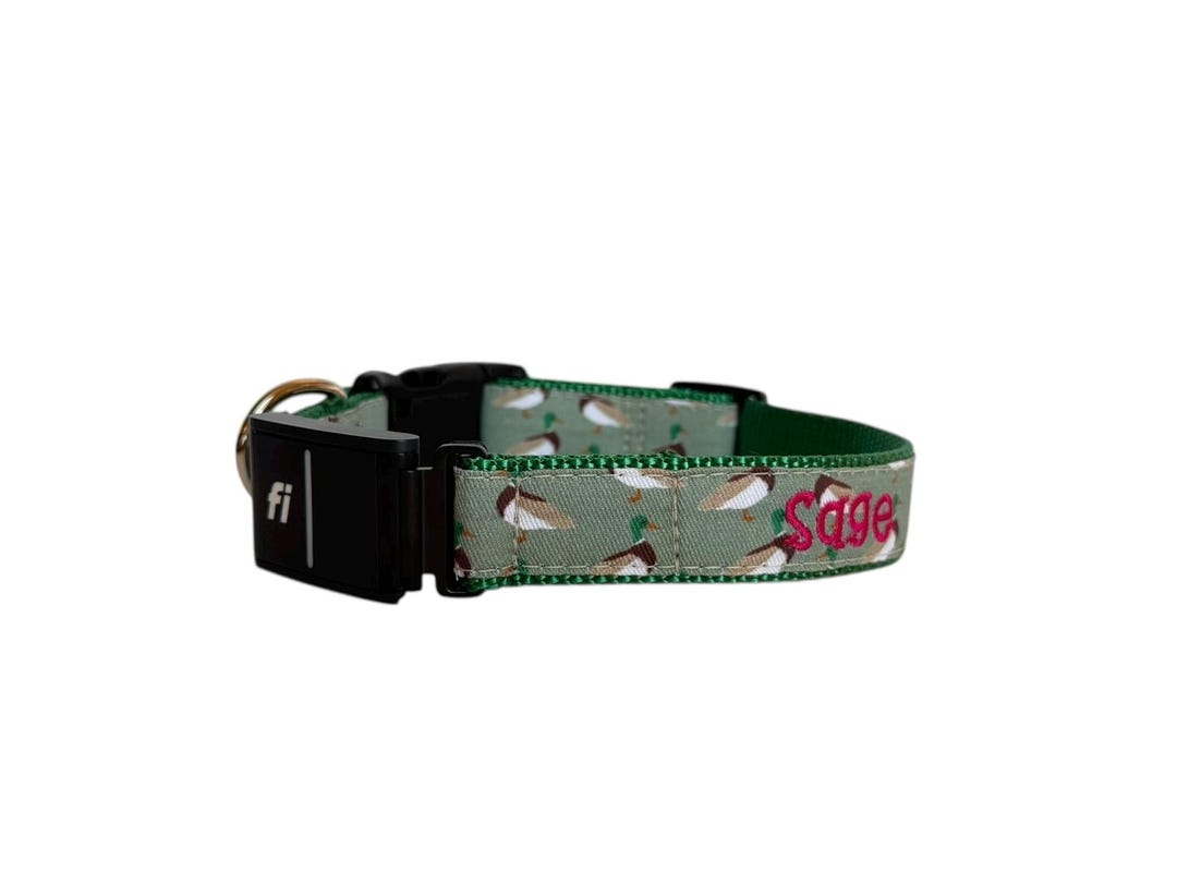 Fi Series 3+ and Fi Series 3 Compatible Dog Collar, Embroidered Fi ...