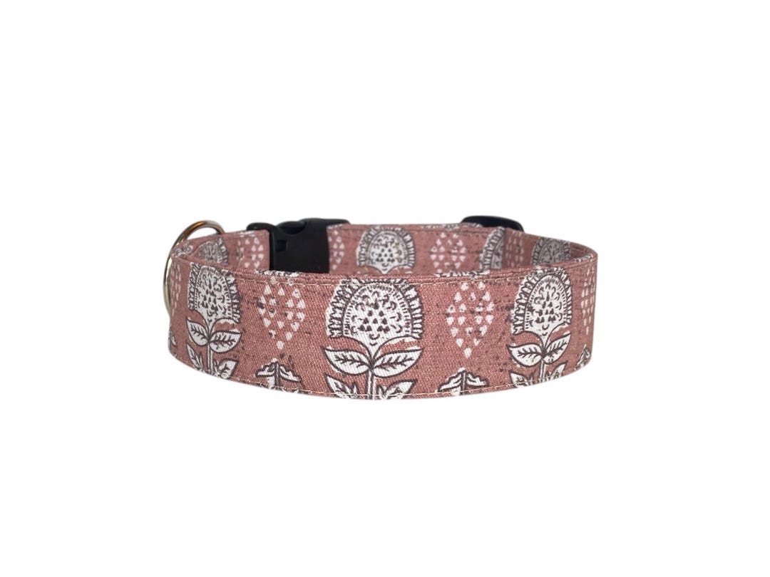 Personalized Embroidered Dog Collar by Duke & Fox, Mocha Mousse Dog ...