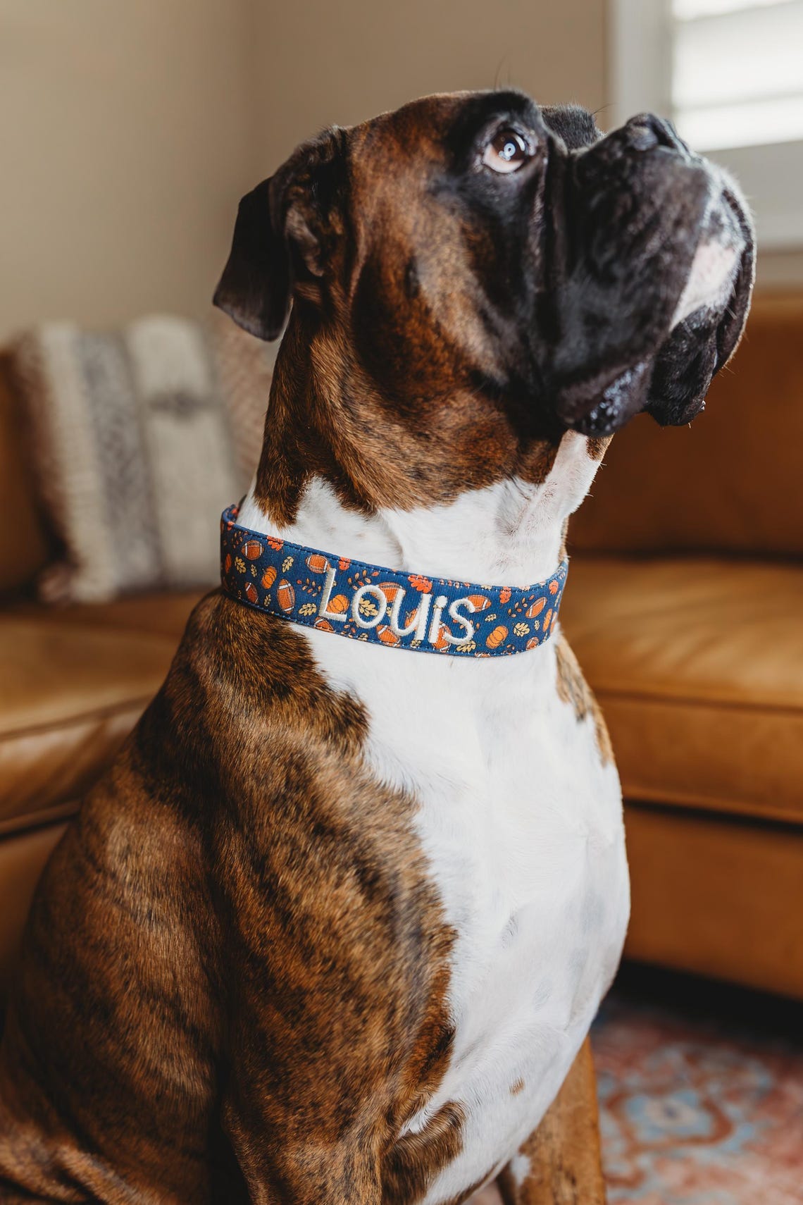 Football Dog Collar, Personalized Dog Collar by Duke & Fox, Custom Dog ...