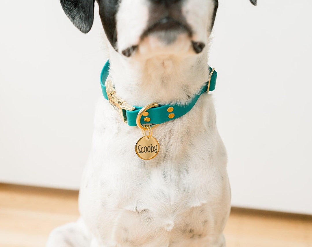 Gold and Silver Stainless Dog Tag, 1.25 Inch Dog Tag, Personalized Dog ...