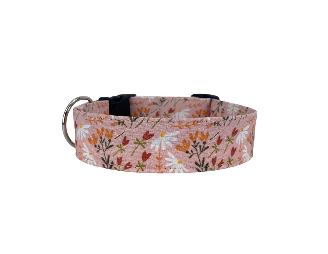 Spring Dog Collar, Wildflower Embroidered Dog Collar, Personalized Dog ...