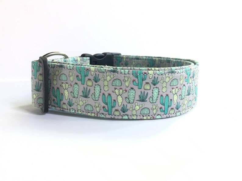 Cactus Dog Collar Embroidered Dog Collar Personalized Dog | Etsy