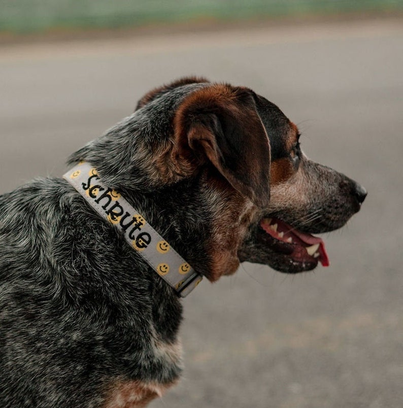 90’s Dog Collar, Smiley Face Dog Collar, Embroidered Dog Collar ...