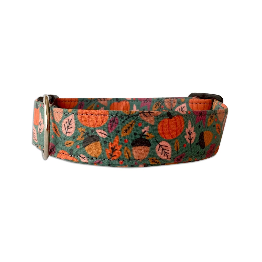 Fall Dog Collar, Autumn Dog Collar, Pumpkin Dog Collar, Embroidered Dog ...