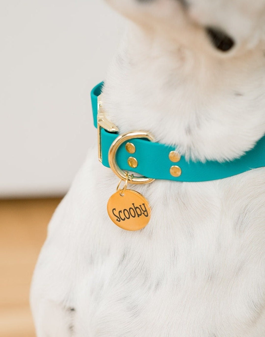 Gold or Silver Stainless Steel Dog Tag, 1.25 Inch Personalized Dog Tag ...