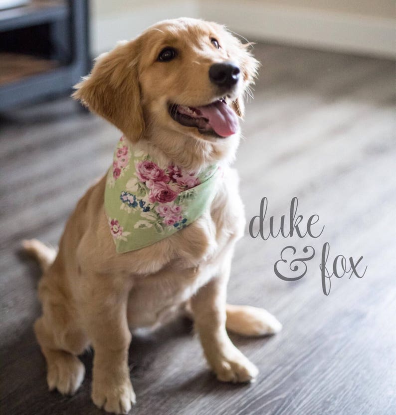 Snap Dog Bandana Dog Bandana Personalized Dog Bandana Tie - Etsy