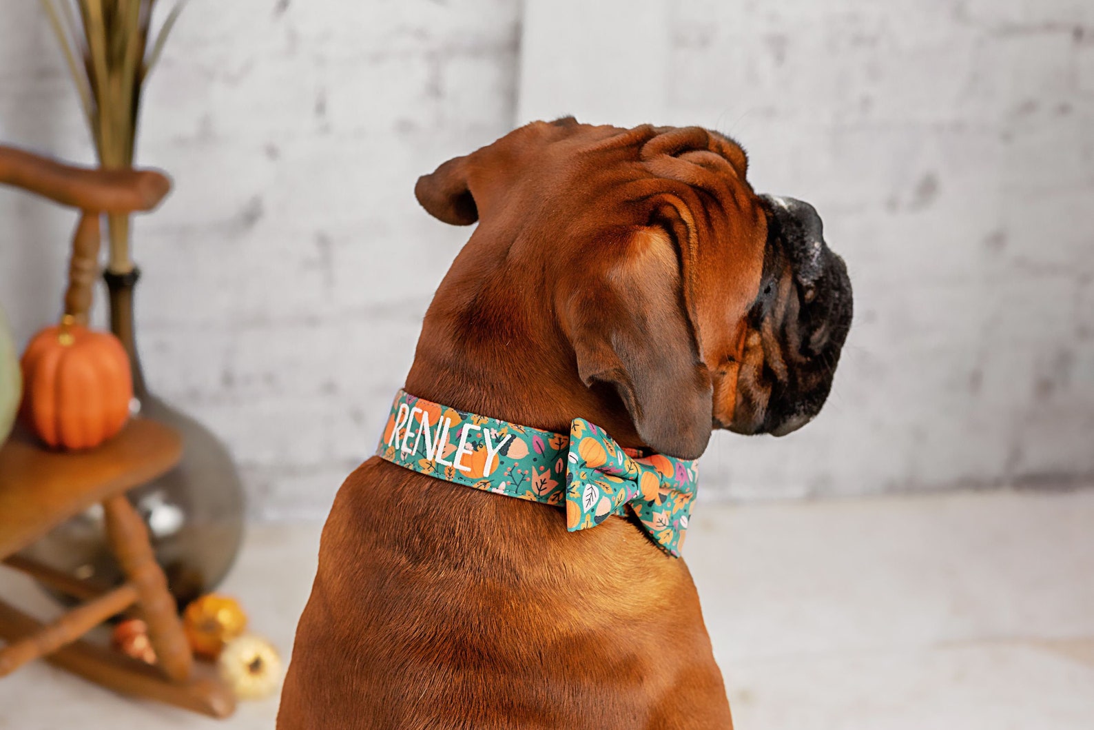 Fall Dog Collar, Autumn Dog Collar, Pumpkin Dog Collar, Embroidered Dog ...