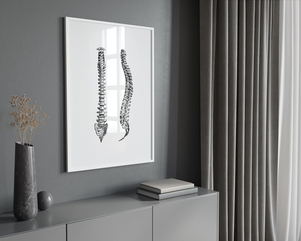Spine Anatomy Poster Vertebral Column Print Spinal Anatomy - Etsy